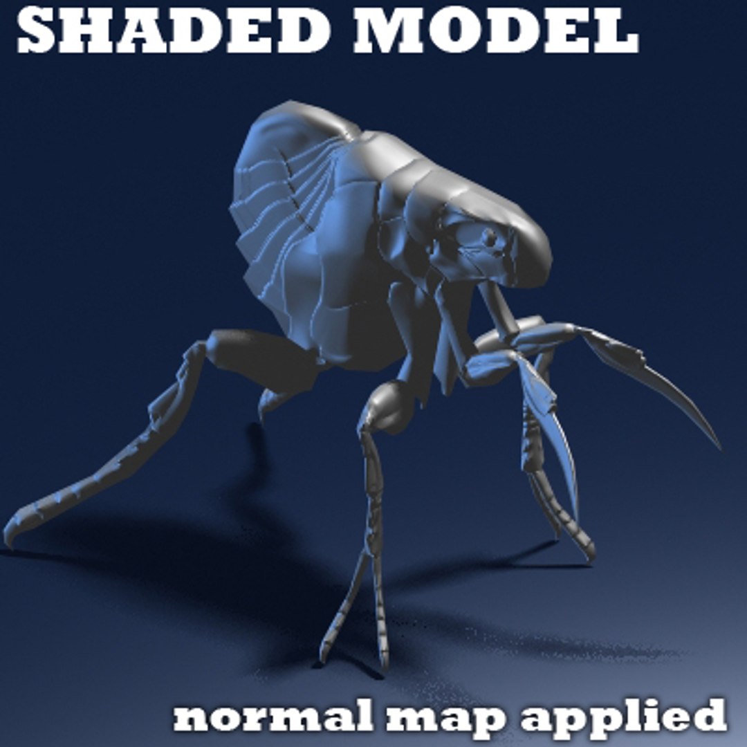 Insect Modeled Monster 3d Model