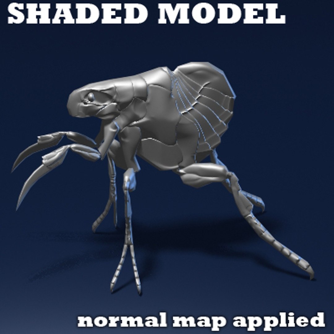 Insect Modeled Monster 3d Model
