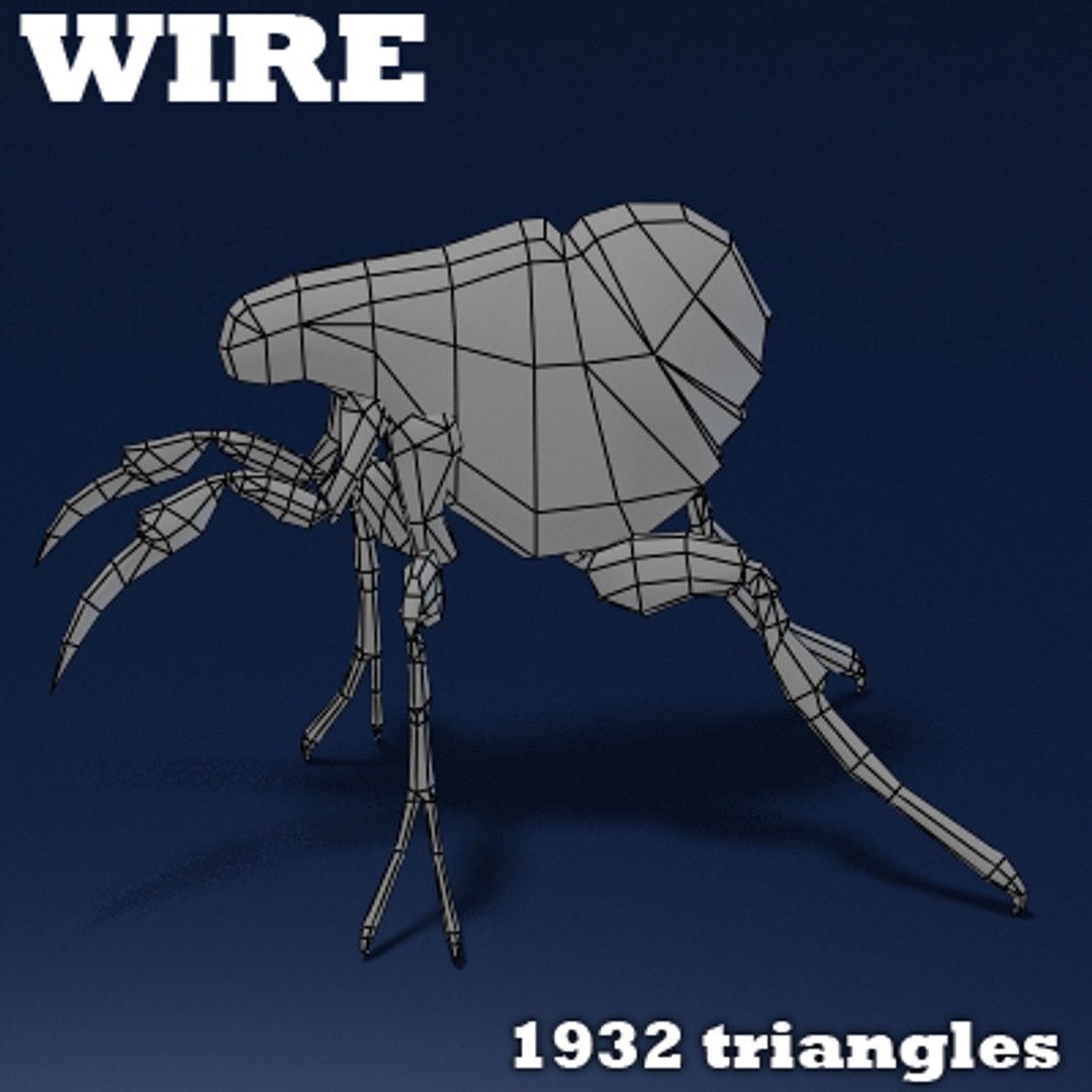 Insect Modeled Monster 3d Model