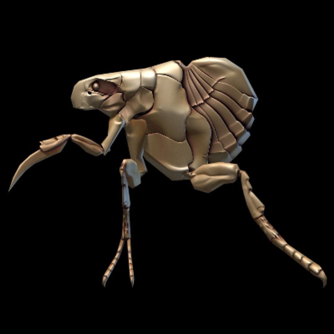 Insect Modeled Monster 3d Model