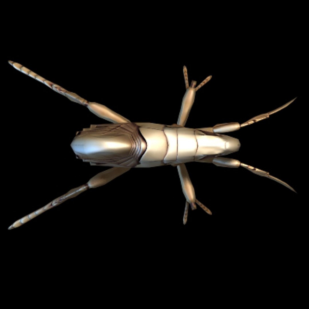 Insect Modeled Monster 3d Model