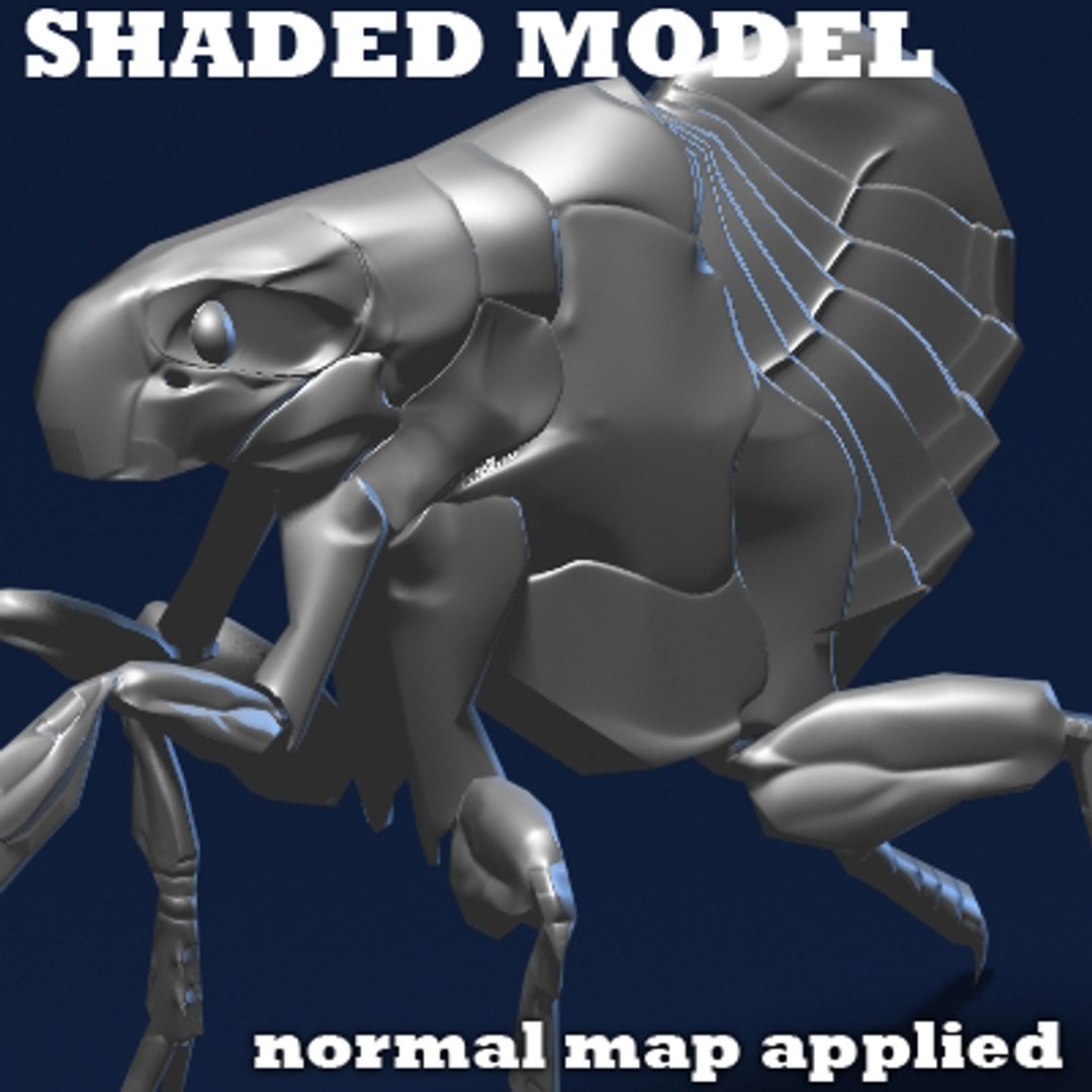 Insect Modeled Monster 3d Model