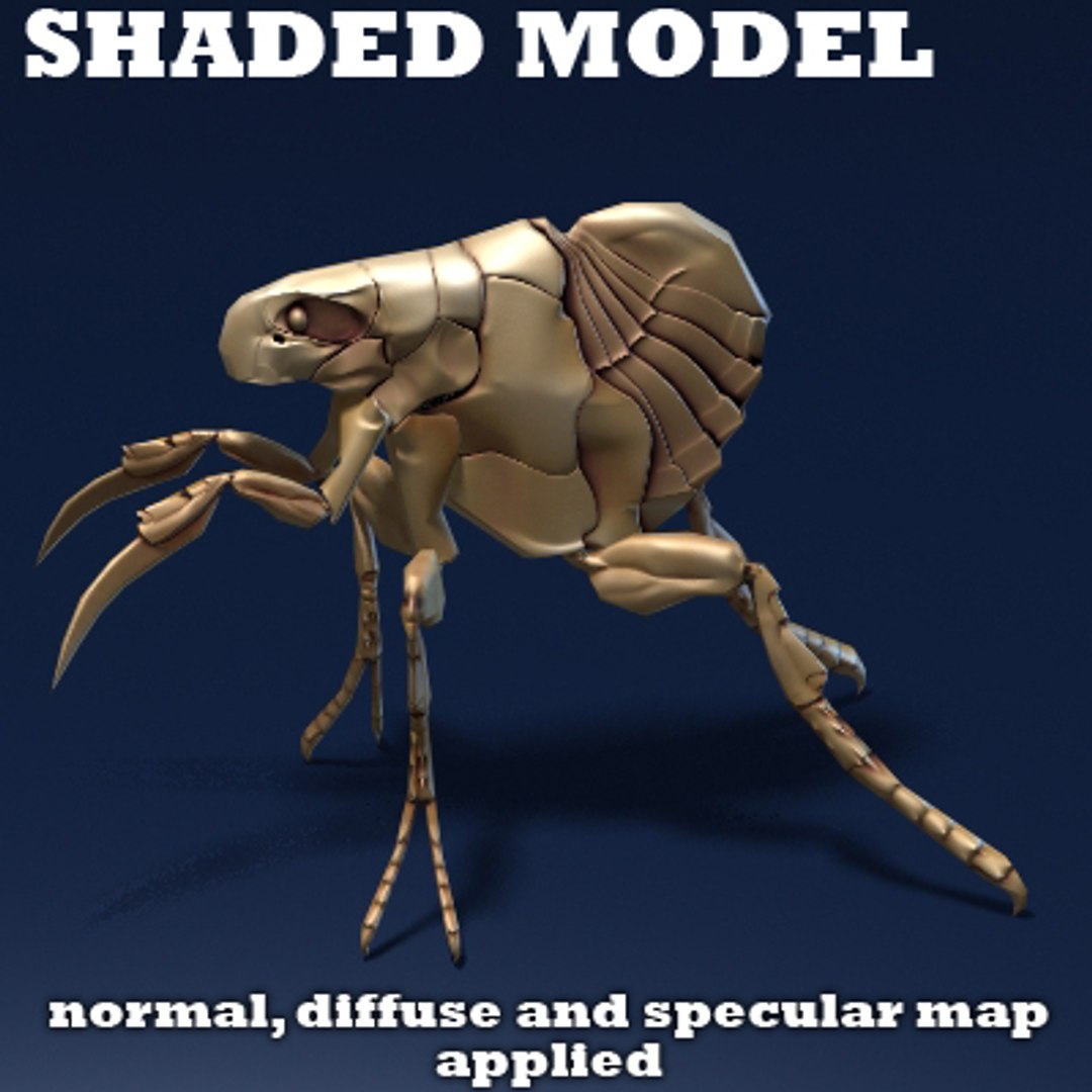Insect Modeled Monster 3d Model