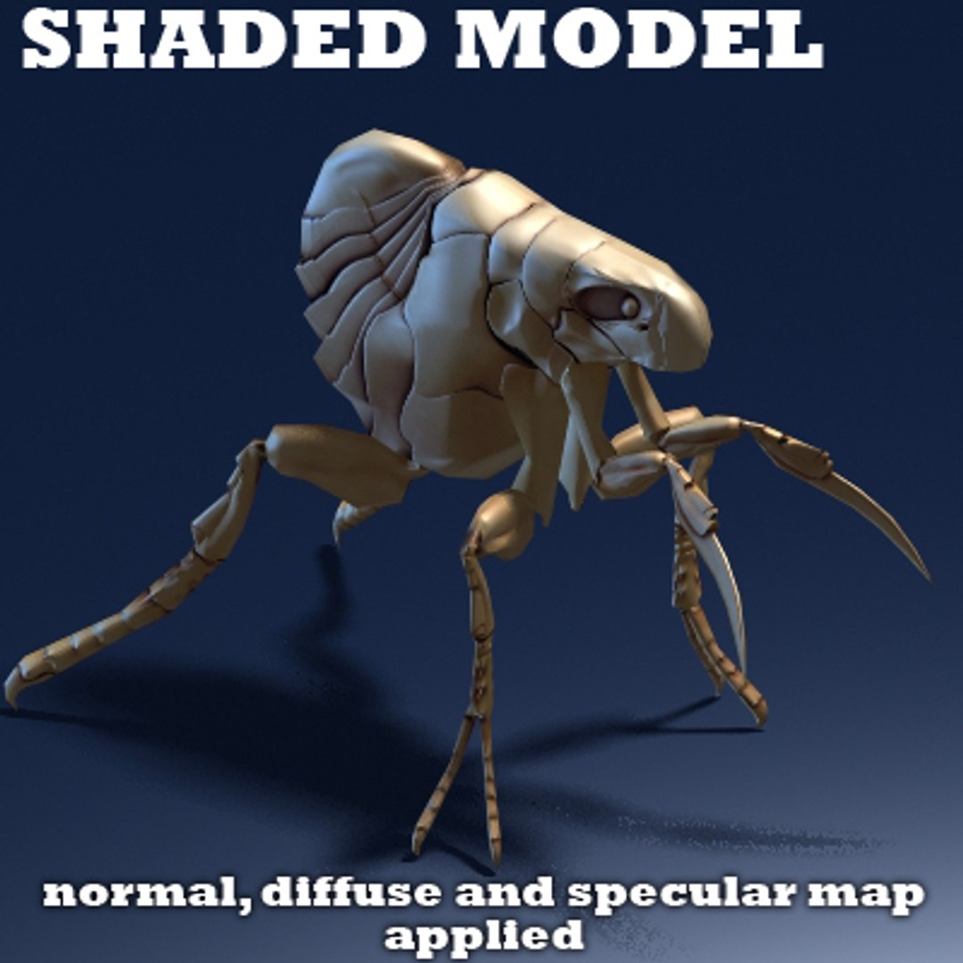 Insect Modeled Monster 3d Model