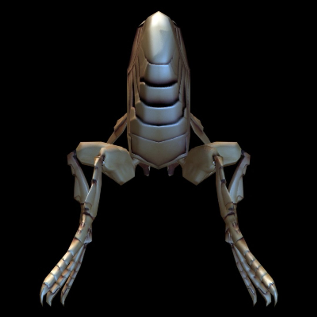 Insect Modeled Monster 3d Model