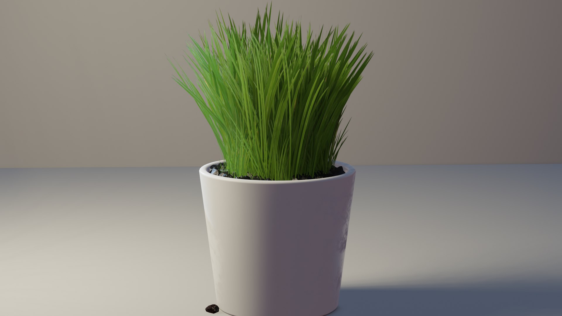 Simple Plant 3D Model - TurboSquid 1812500