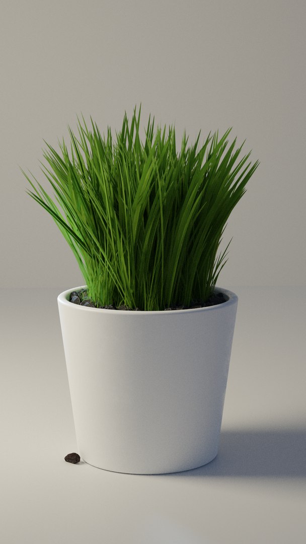 Simple Plant 3D Model - TurboSquid 1812500