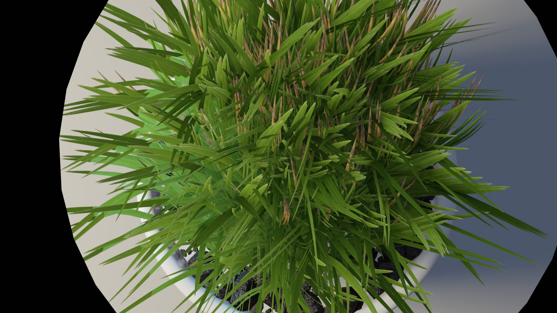 Simple Plant 3D Model - TurboSquid 1812500