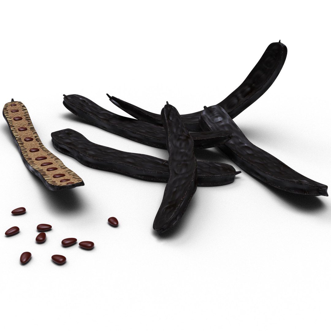3D carob fruit - TurboSquid 1644298