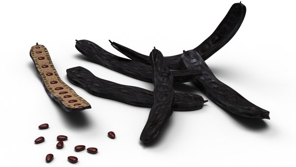 3D carob fruit - TurboSquid 1644298