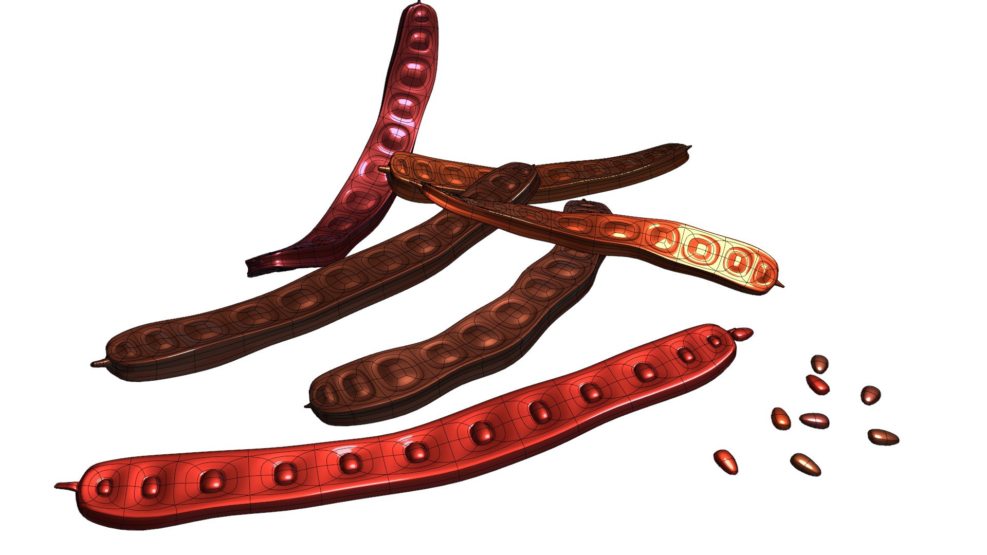 3D carob fruit - TurboSquid 1644298