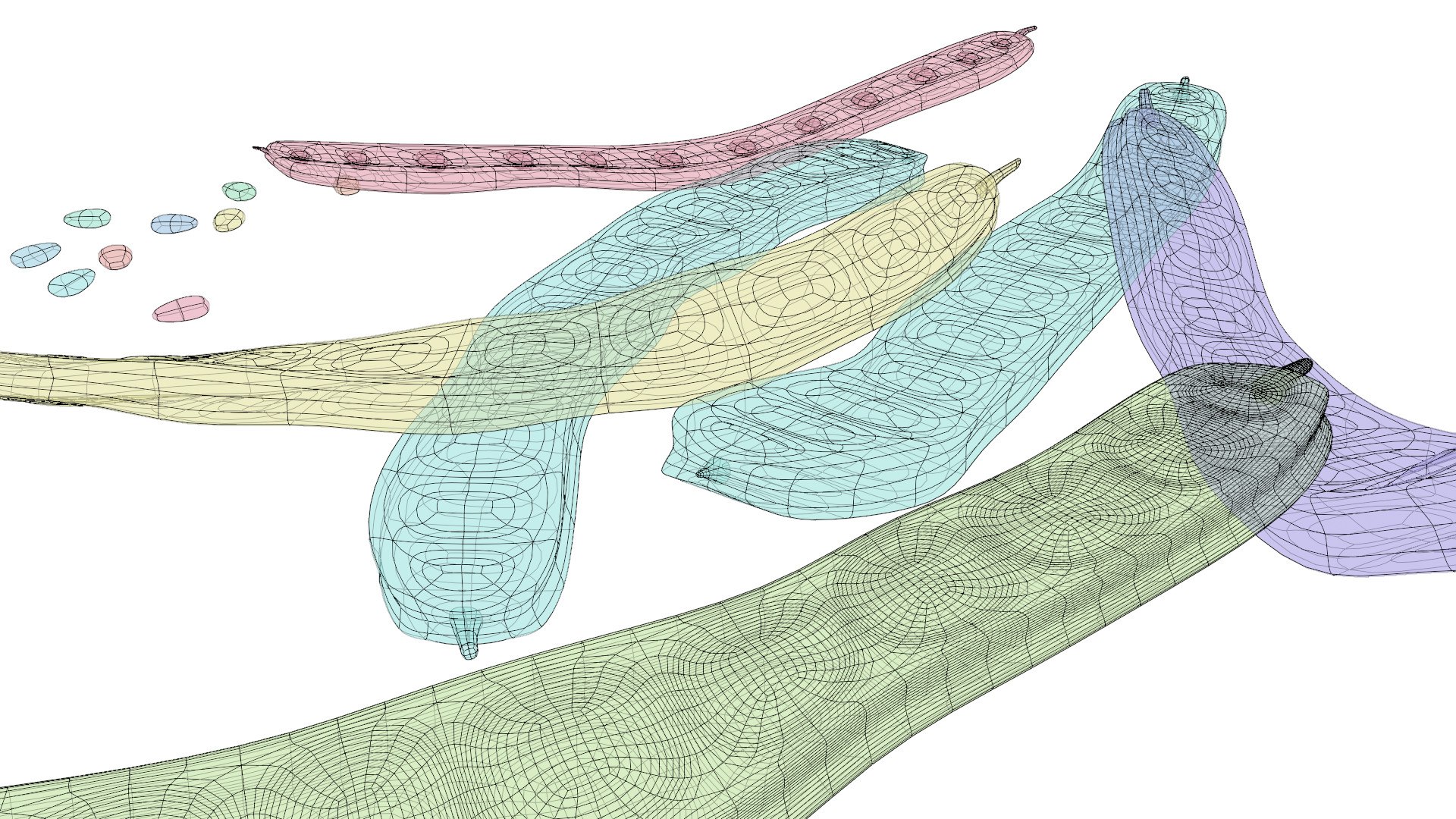 3D carob fruit - TurboSquid 1644298