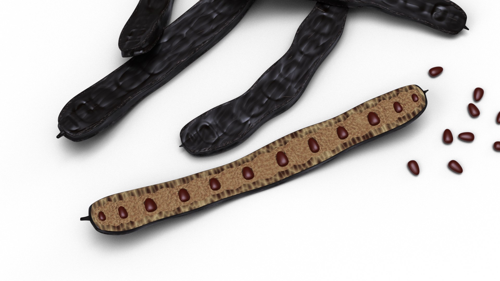 3D carob fruit - TurboSquid 1644298