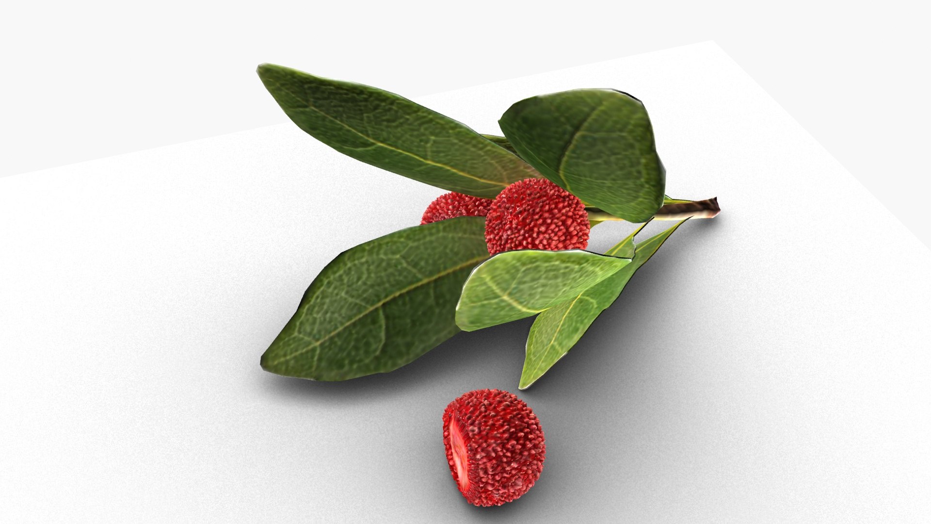 3D Bayberry Fruit Model - TurboSquid 2108978