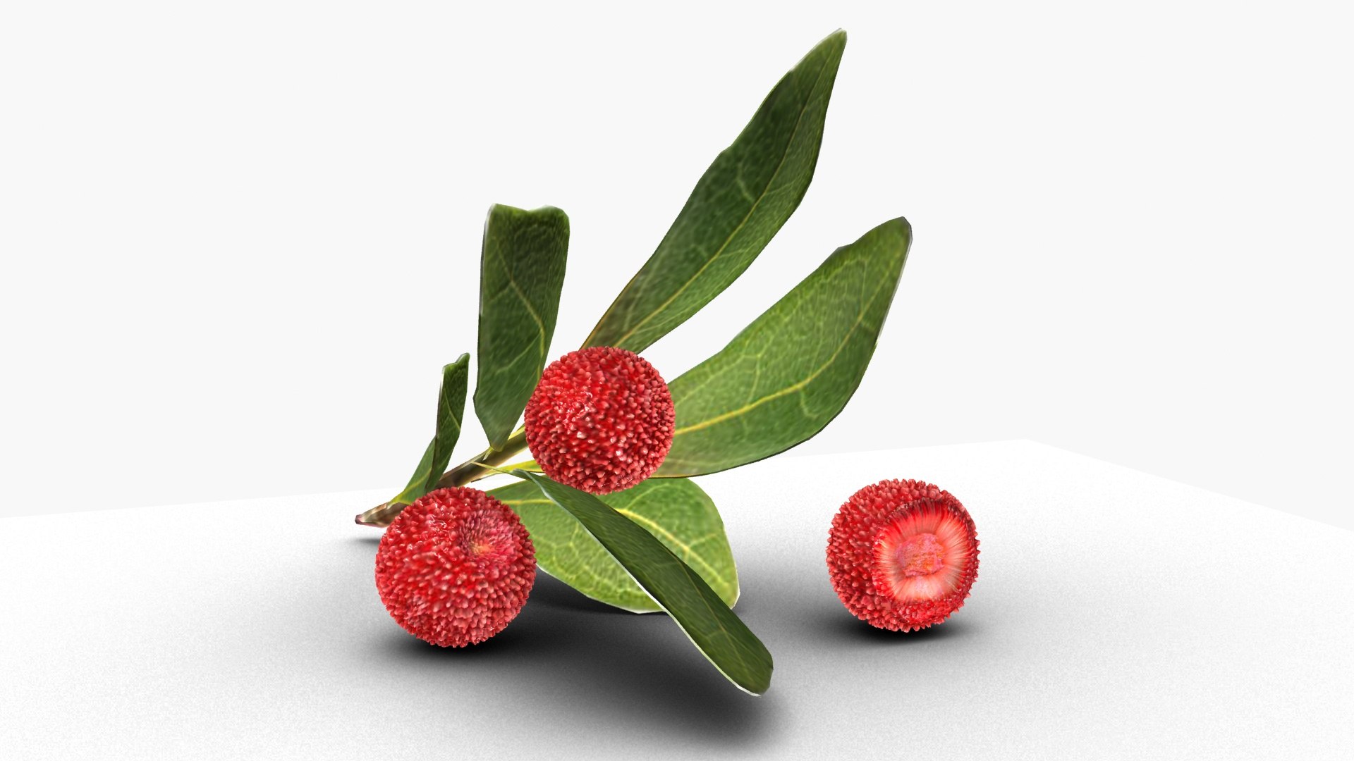 3D Bayberry Fruit Model - TurboSquid 2108978