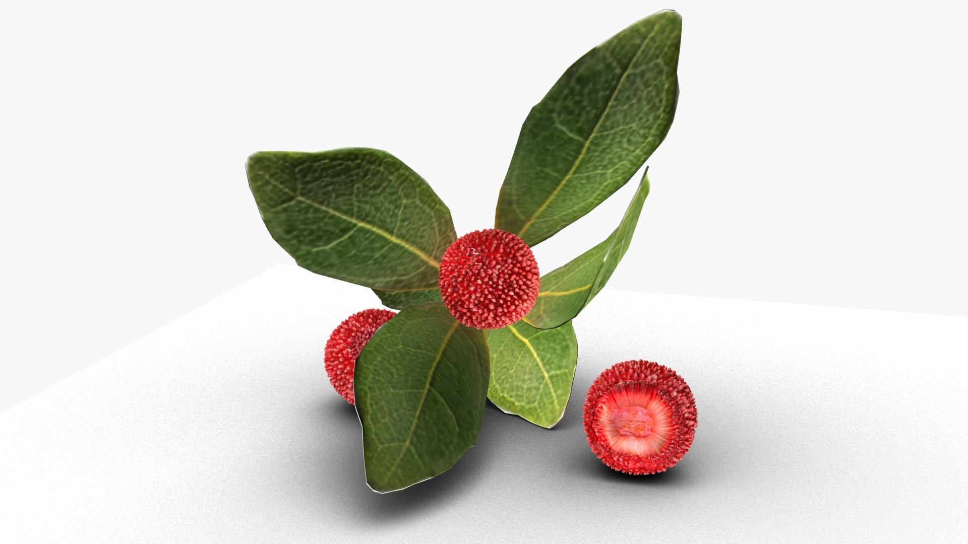 3D Bayberry Fruit Model - TurboSquid 2108978