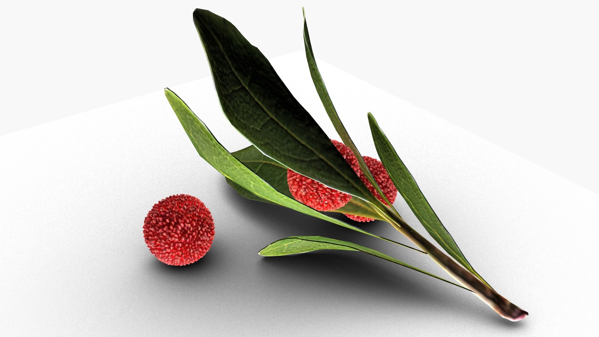 3D Bayberry Fruit Model - TurboSquid 2108978