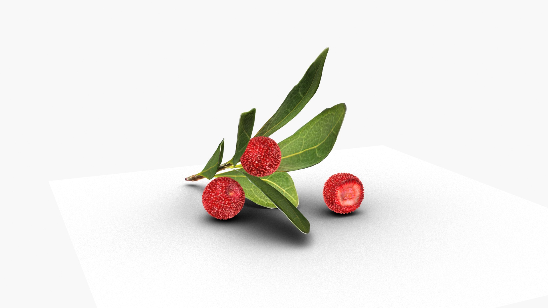 3D Bayberry Fruit Model - TurboSquid 2108978