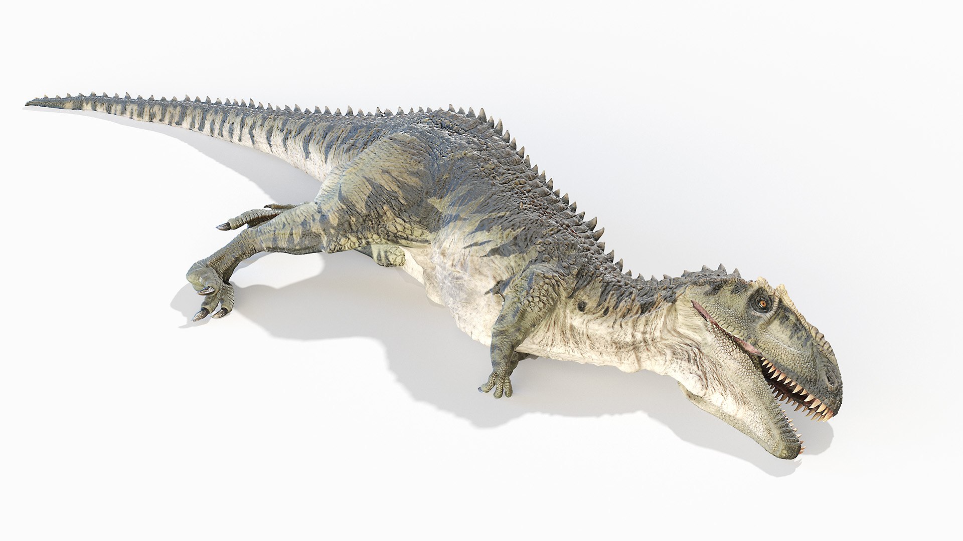 Giganotosaurus Giganoto 3D Model - TurboSquid 1595538