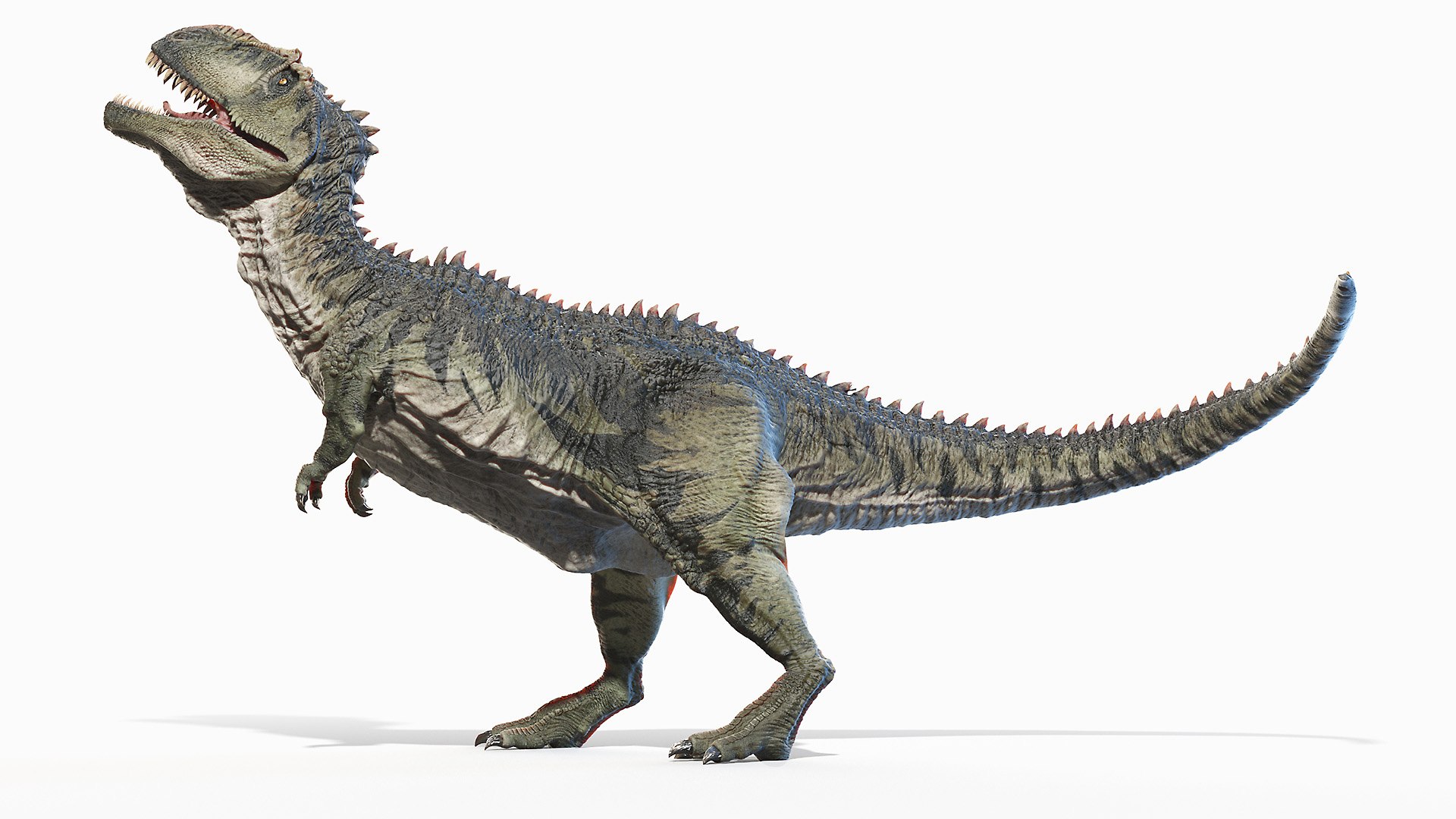 Giganotosaurus Giganoto 3D Model - TurboSquid 1595538