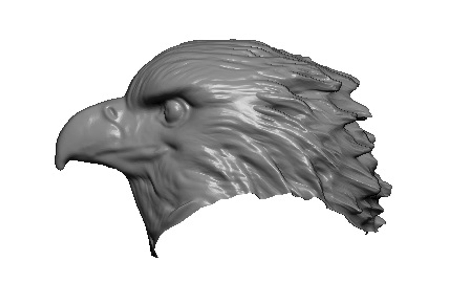 Eagle Head Obj