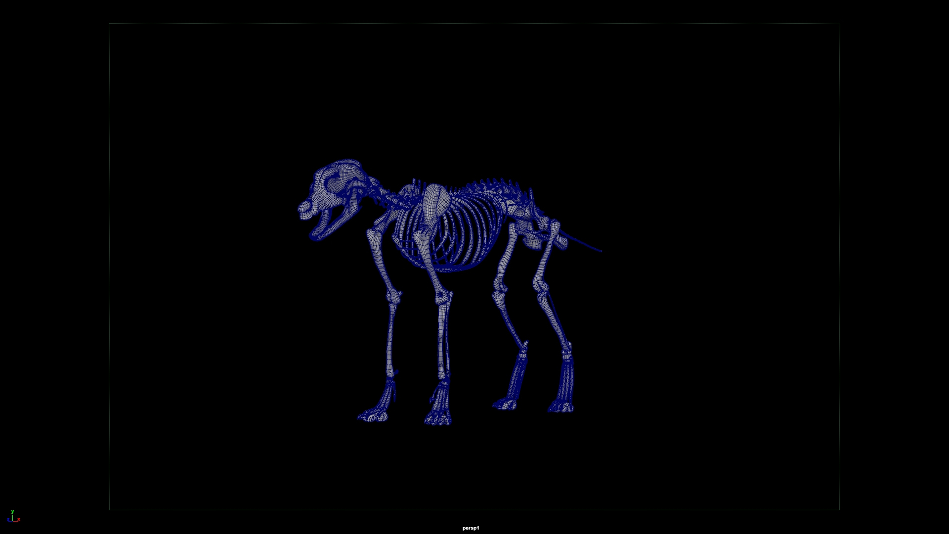 3D Wolf Skeleton - TurboSquid 1709051