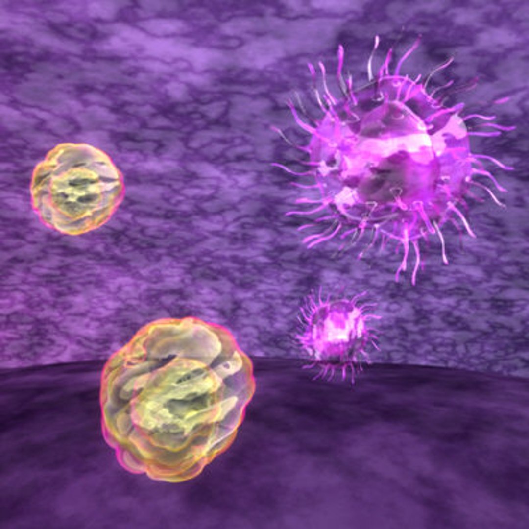 3d T Cell Microphage