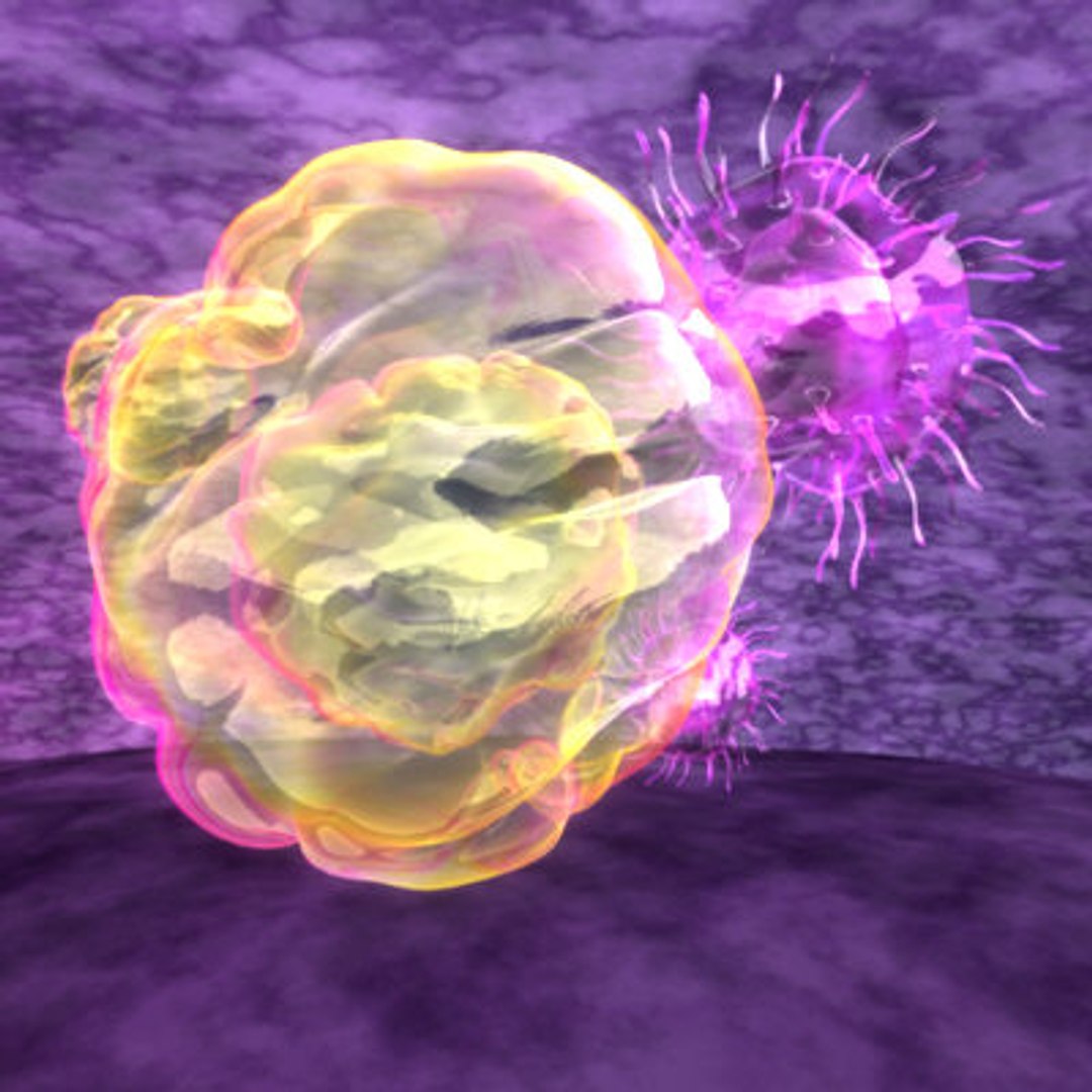 3d T Cell Microphage
