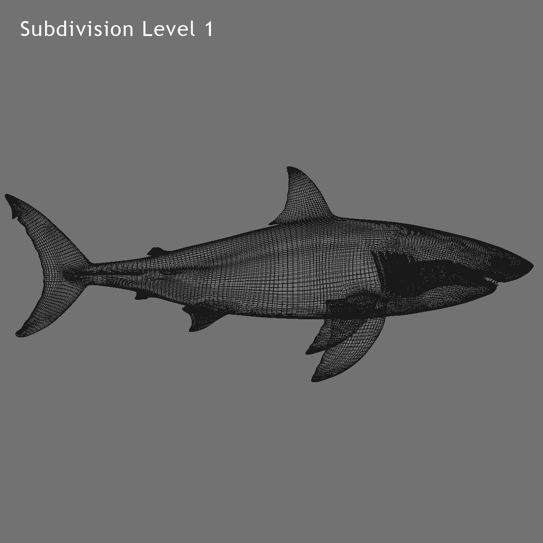 c4d great white shark