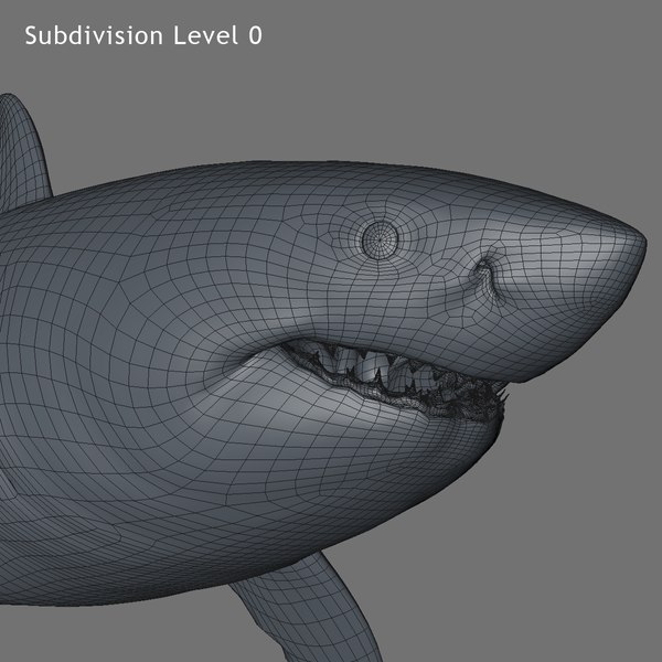 c4d great white shark
