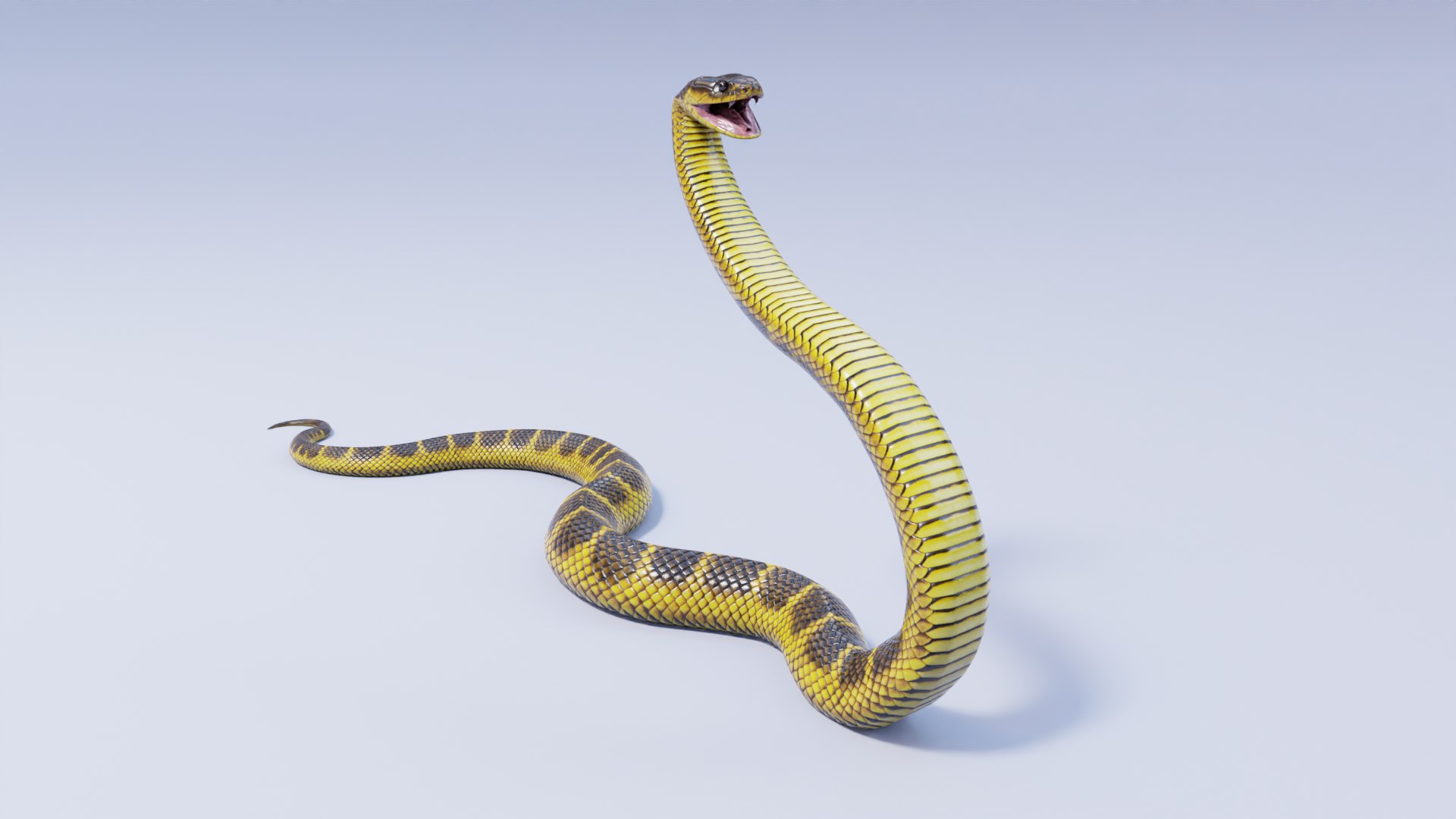 3D Rigged Tiger Snake - TurboSquid 1952302