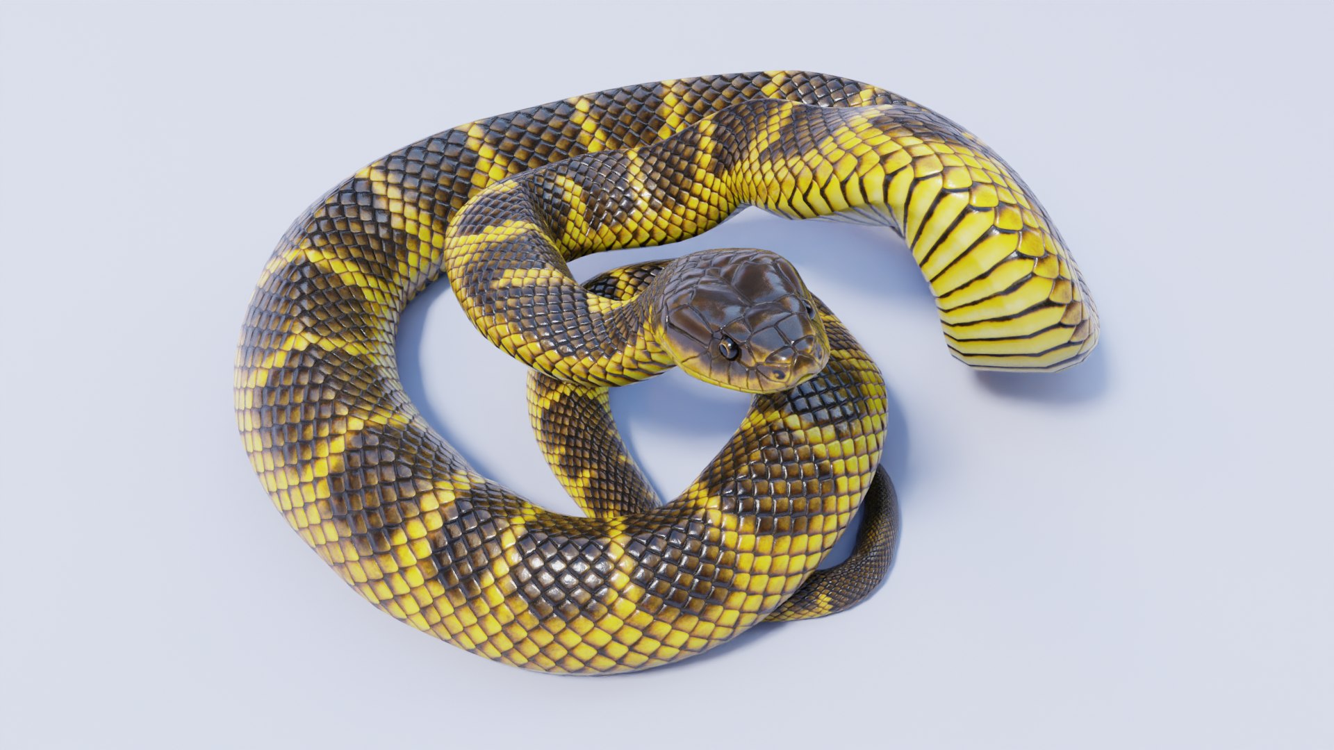 3D Rigged Tiger Snake - TurboSquid 1952302