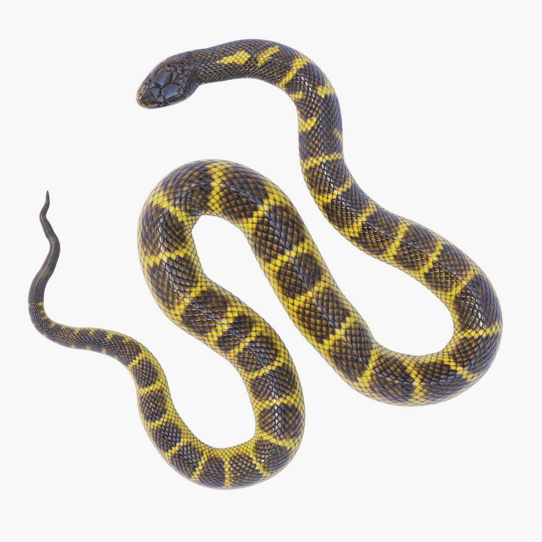 3D Rigged Tiger Snake - TurboSquid 1952302