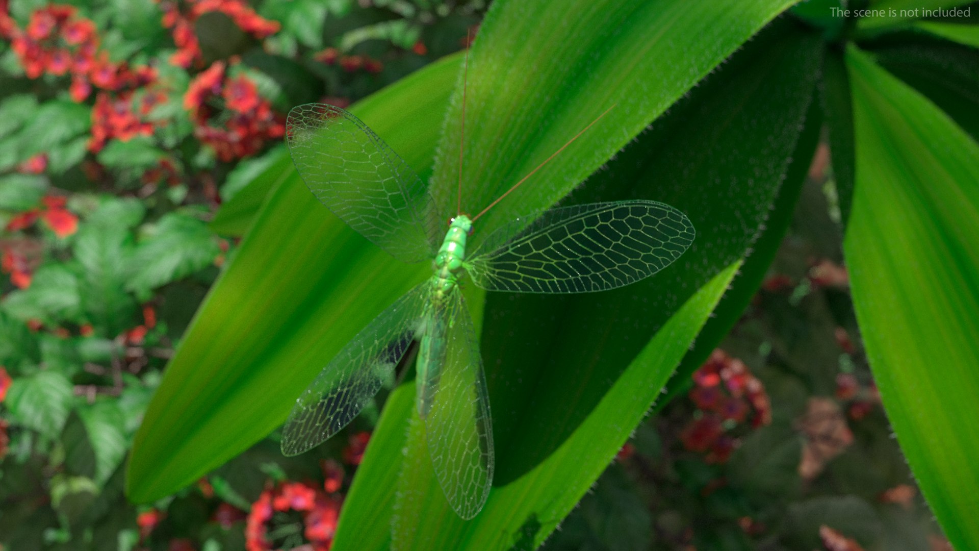3D Green Lacewing in Flight Fur - TurboSquid 2165659