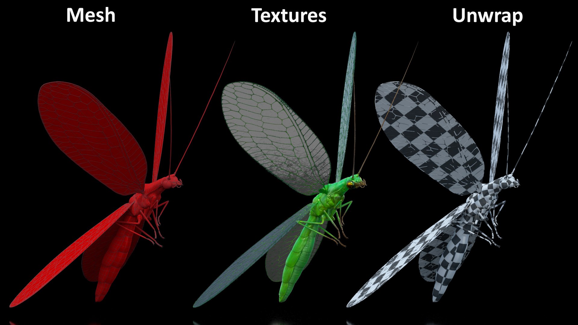 3D Green Lacewing in Flight Fur - TurboSquid 2165659