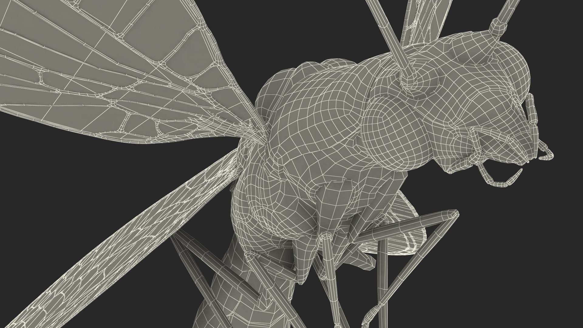 3D Green Lacewing in Flight Fur - TurboSquid 2165659