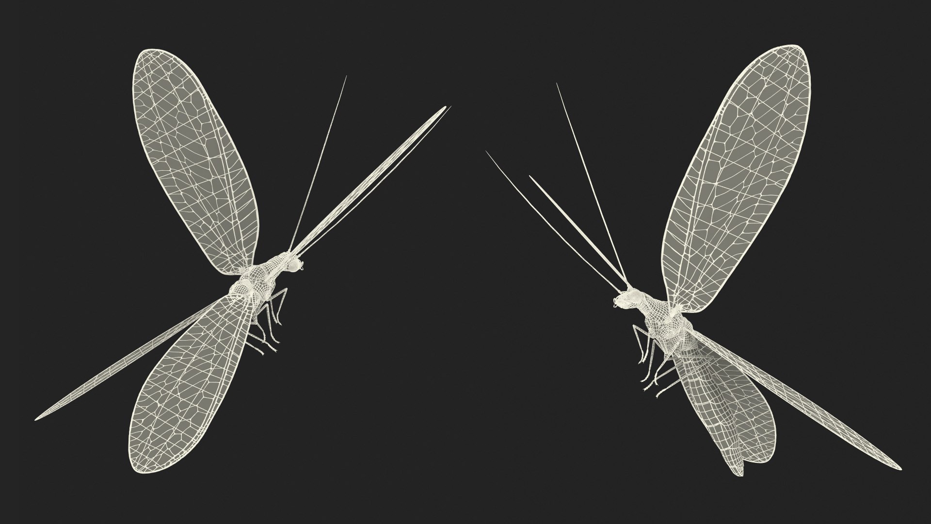 3D Green Lacewing in Flight Fur - TurboSquid 2165659