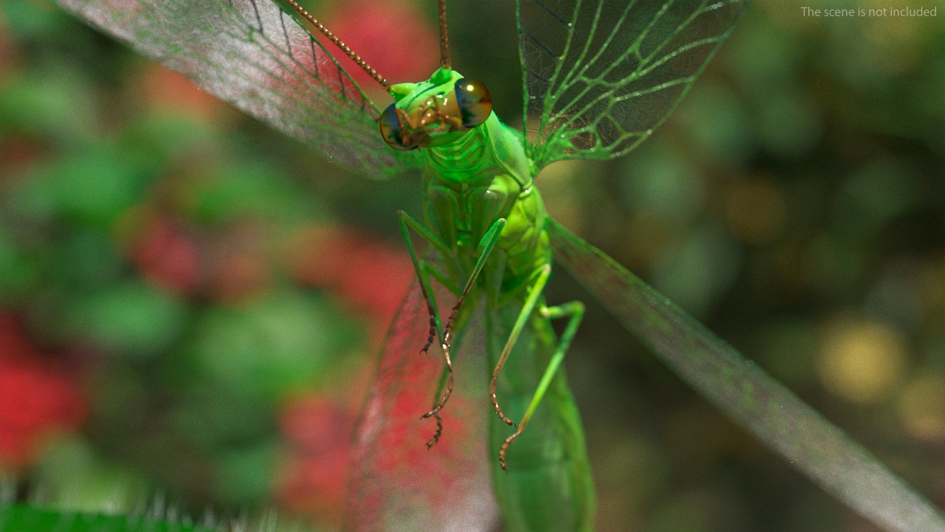 3D Green Lacewing in Flight Fur - TurboSquid 2165659