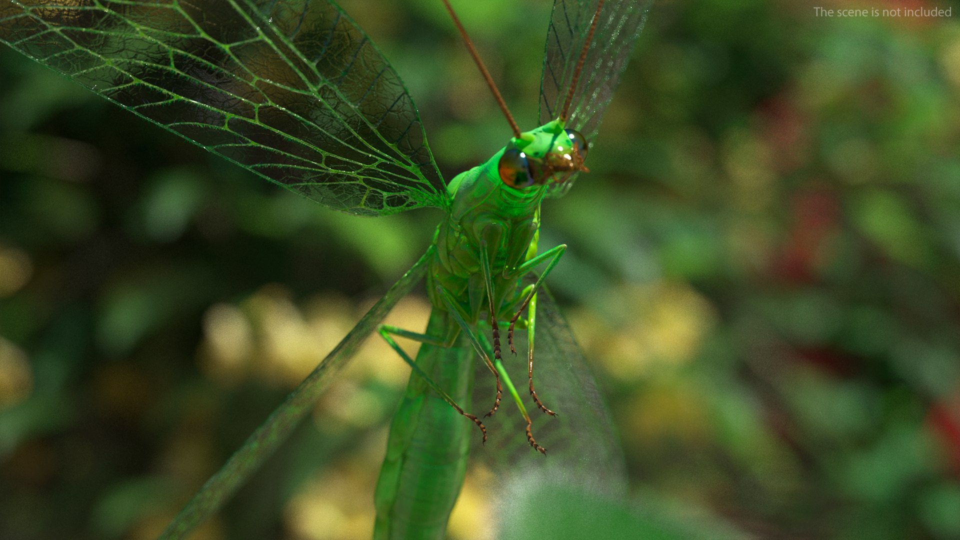 3D Green Lacewing in Flight Fur - TurboSquid 2165659