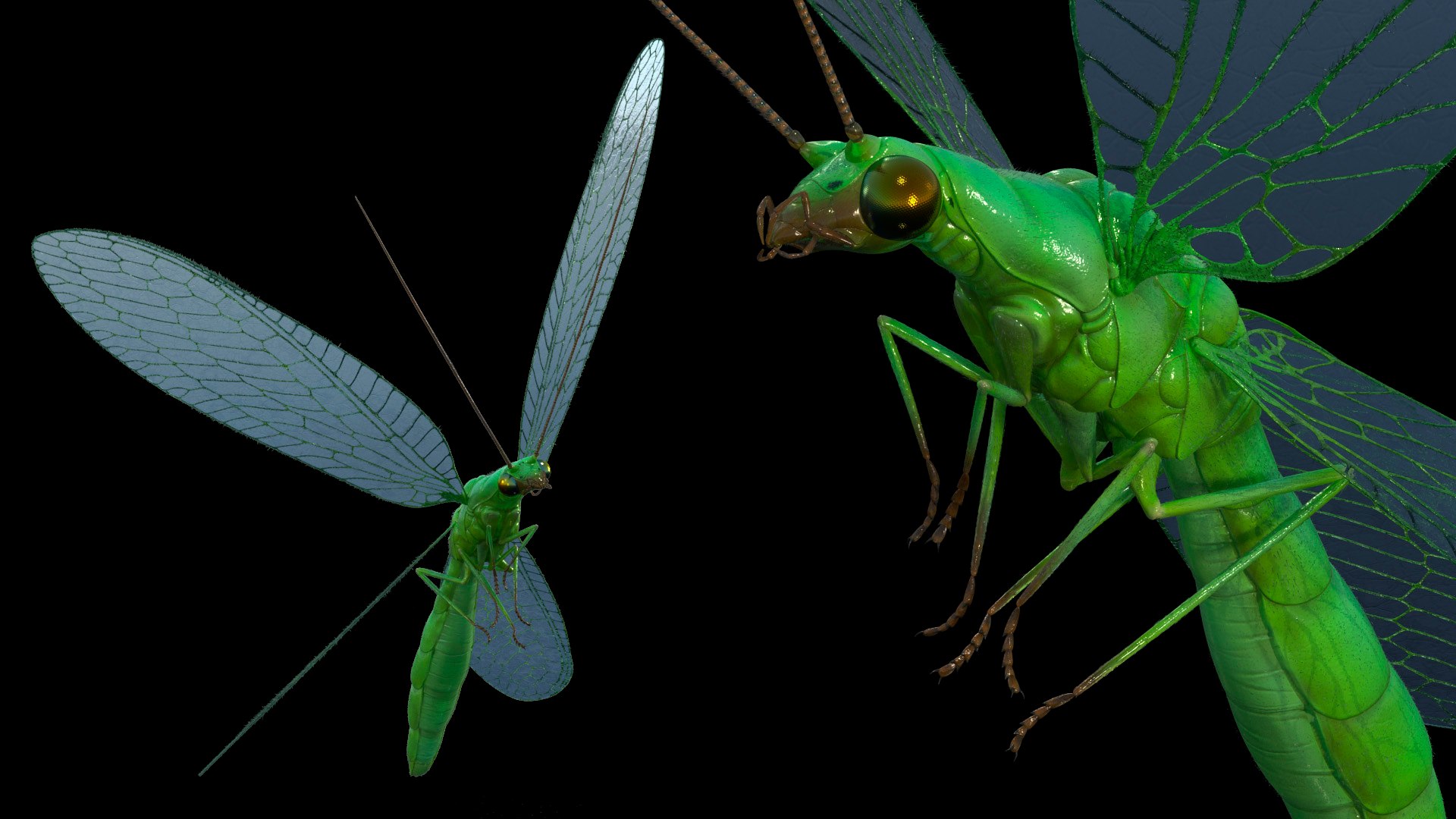 3D Green Lacewing in Flight Fur - TurboSquid 2165659