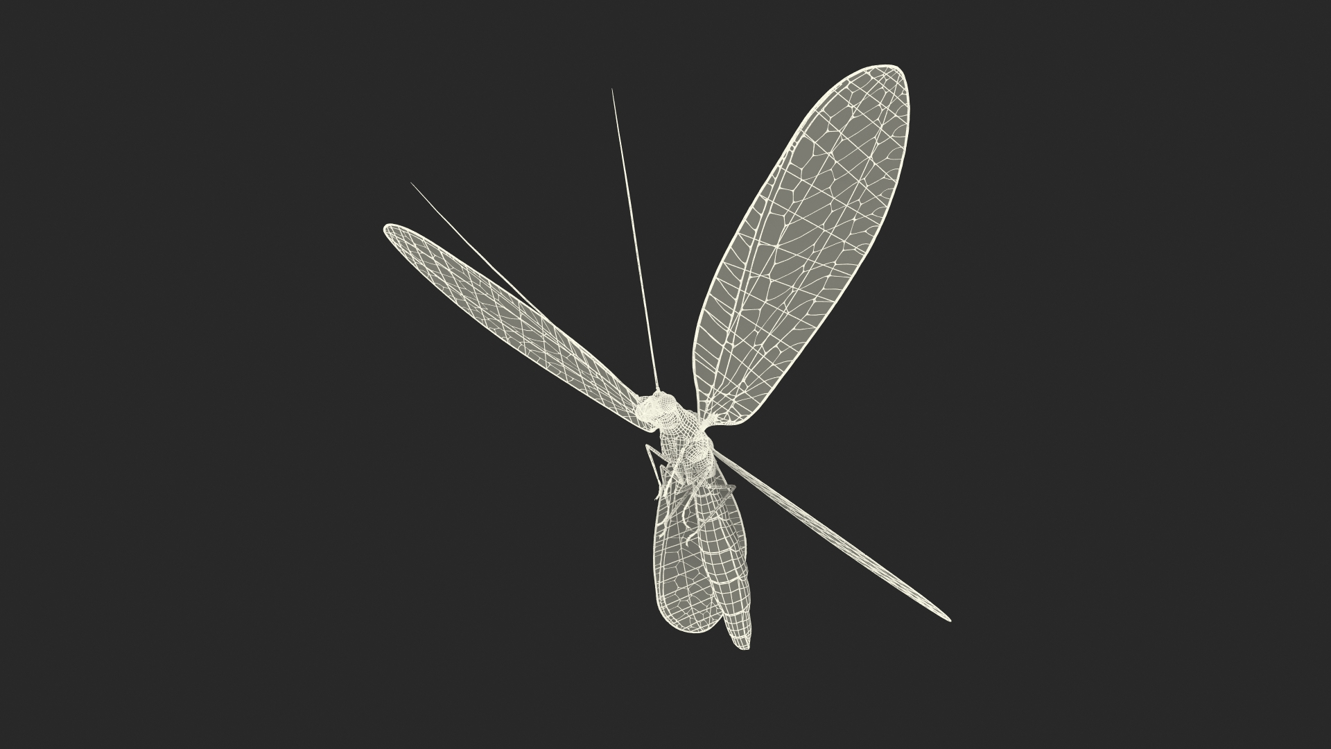 3D Green Lacewing in Flight Fur - TurboSquid 2165659