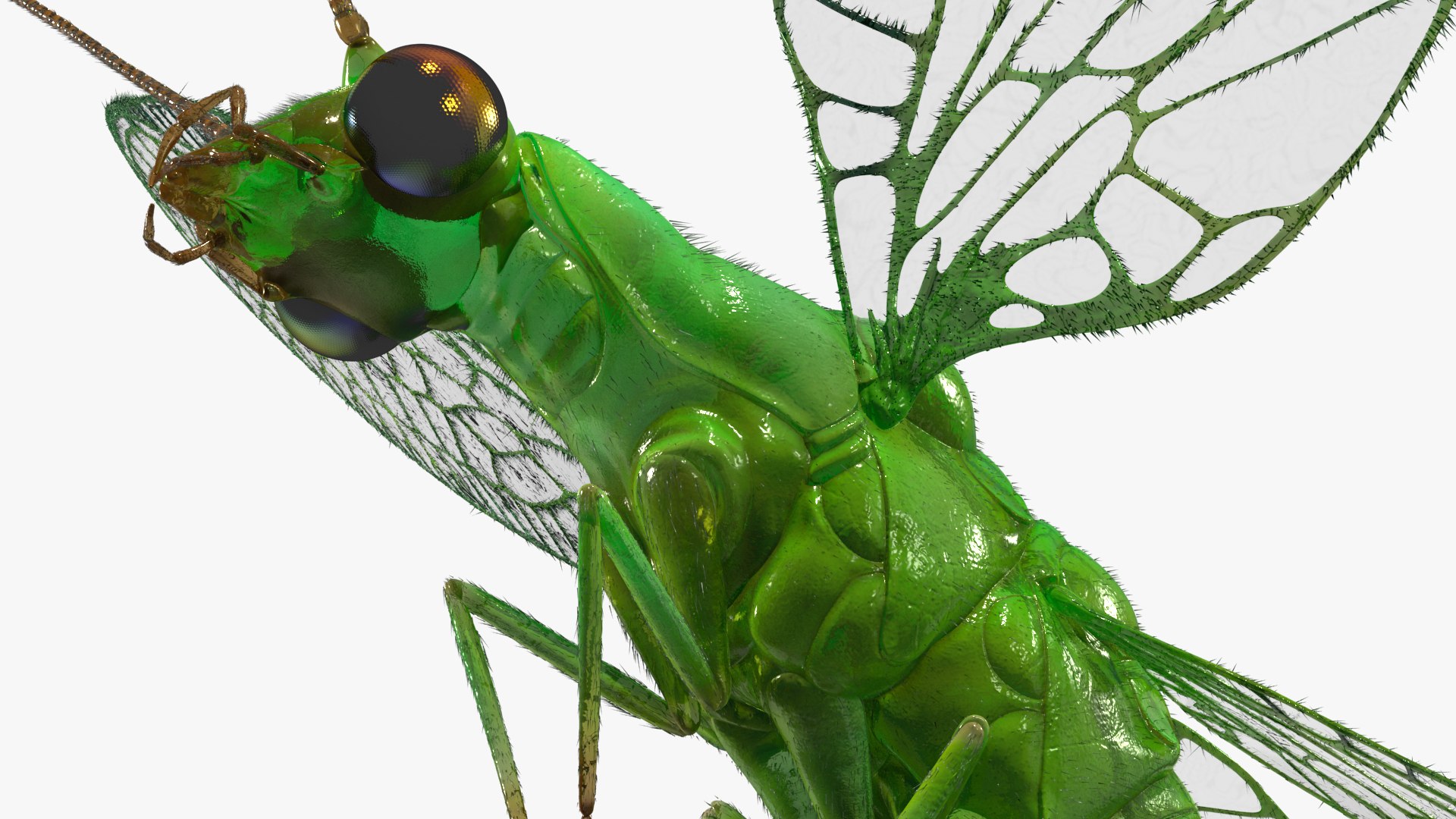 3D Green Lacewing in Flight Fur - TurboSquid 2165659