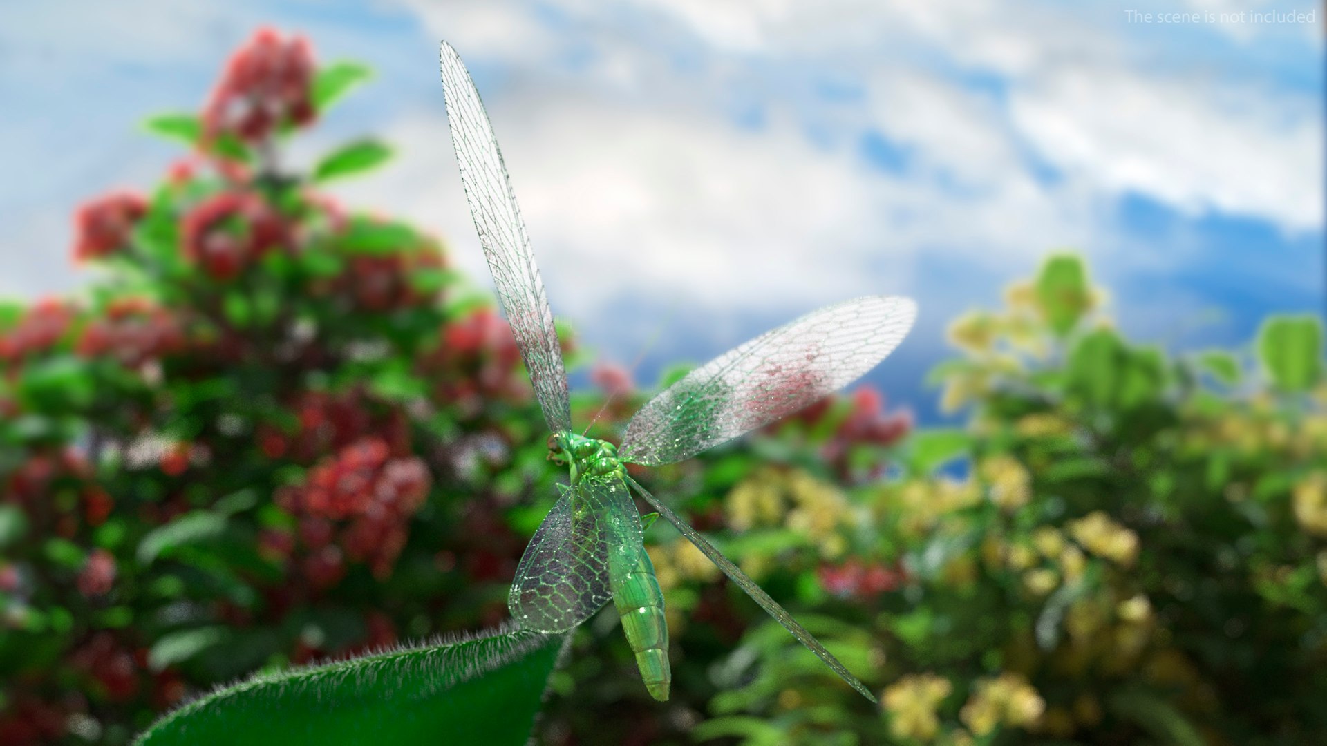 3D Green Lacewing in Flight Fur - TurboSquid 2165659
