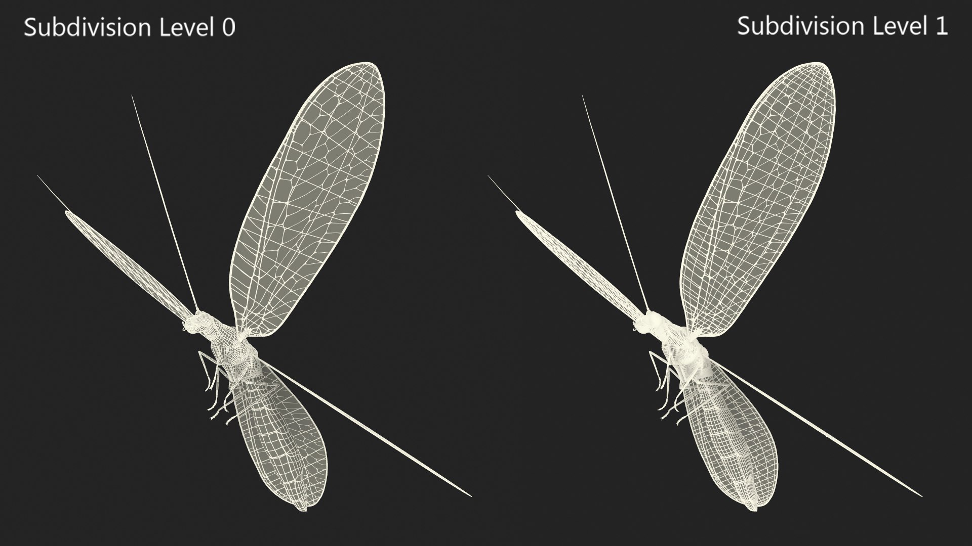 3D Green Lacewing in Flight Fur - TurboSquid 2165659
