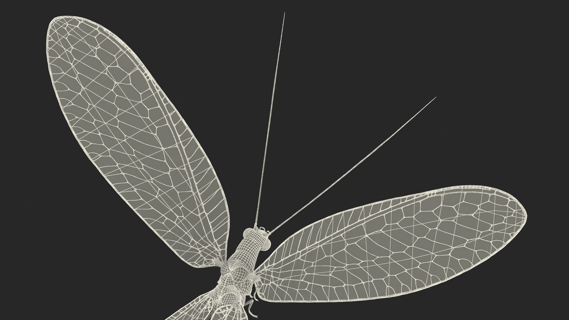 3D Green Lacewing in Flight Fur - TurboSquid 2165659