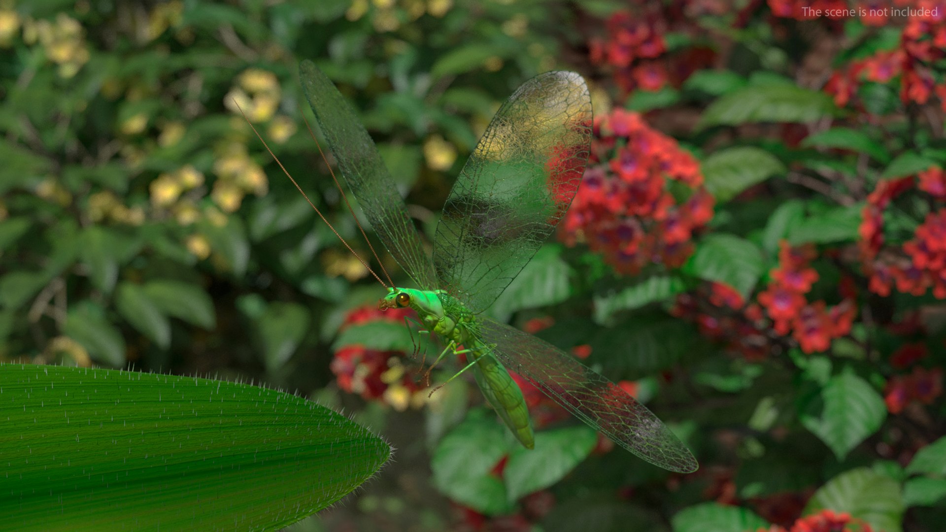 3D Green Lacewing in Flight Fur - TurboSquid 2165659