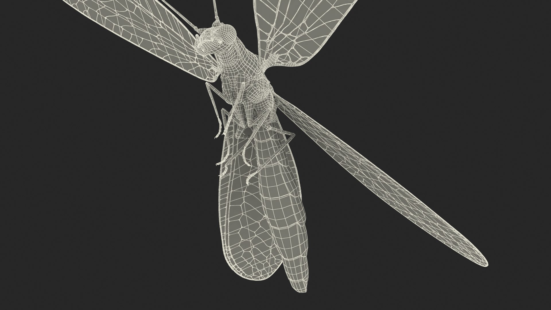 3D Green Lacewing in Flight Fur - TurboSquid 2165659