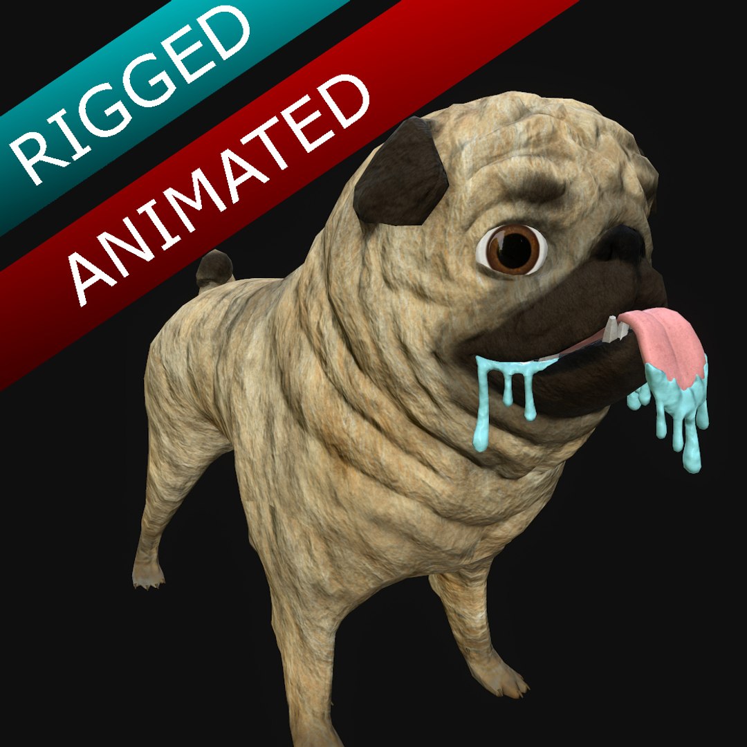 Pug Dog Rigged Animations Model - TurboSquid 1347391