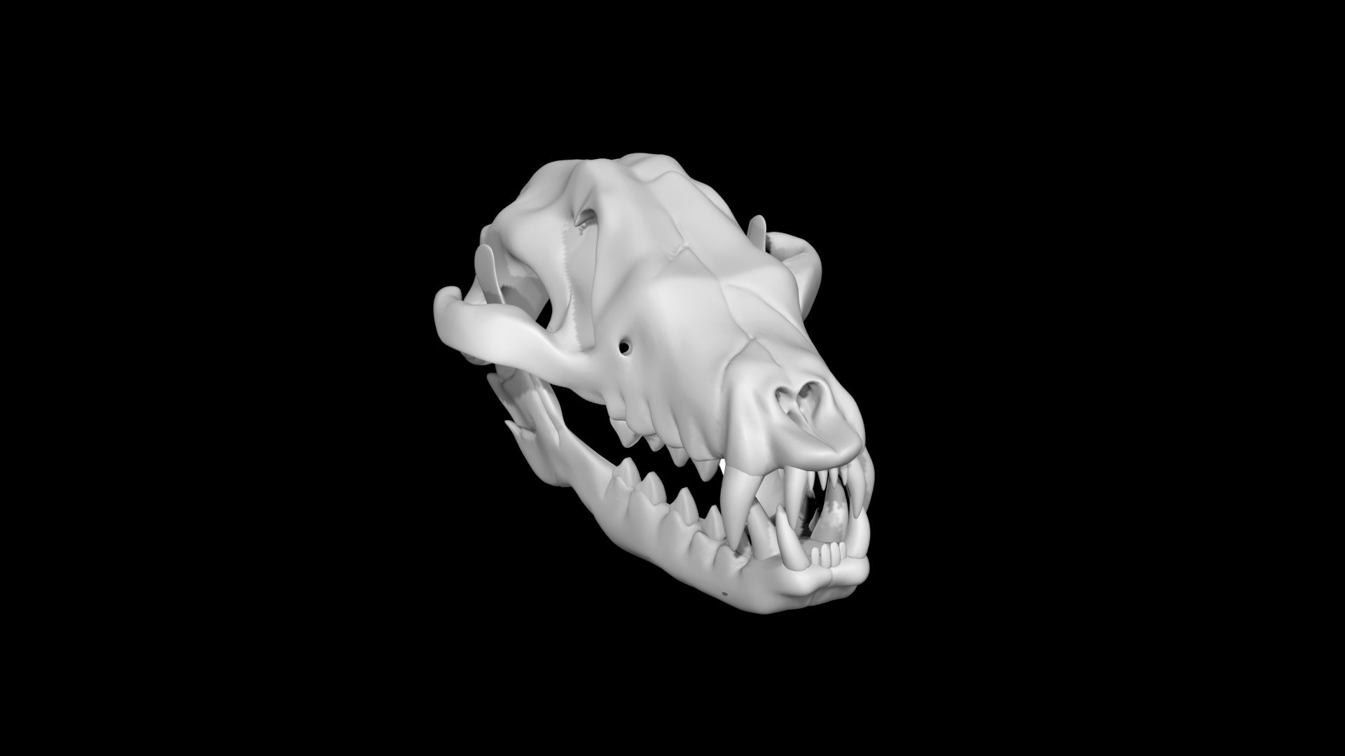 3D Rigged Fox Skull - TurboSquid 1885060