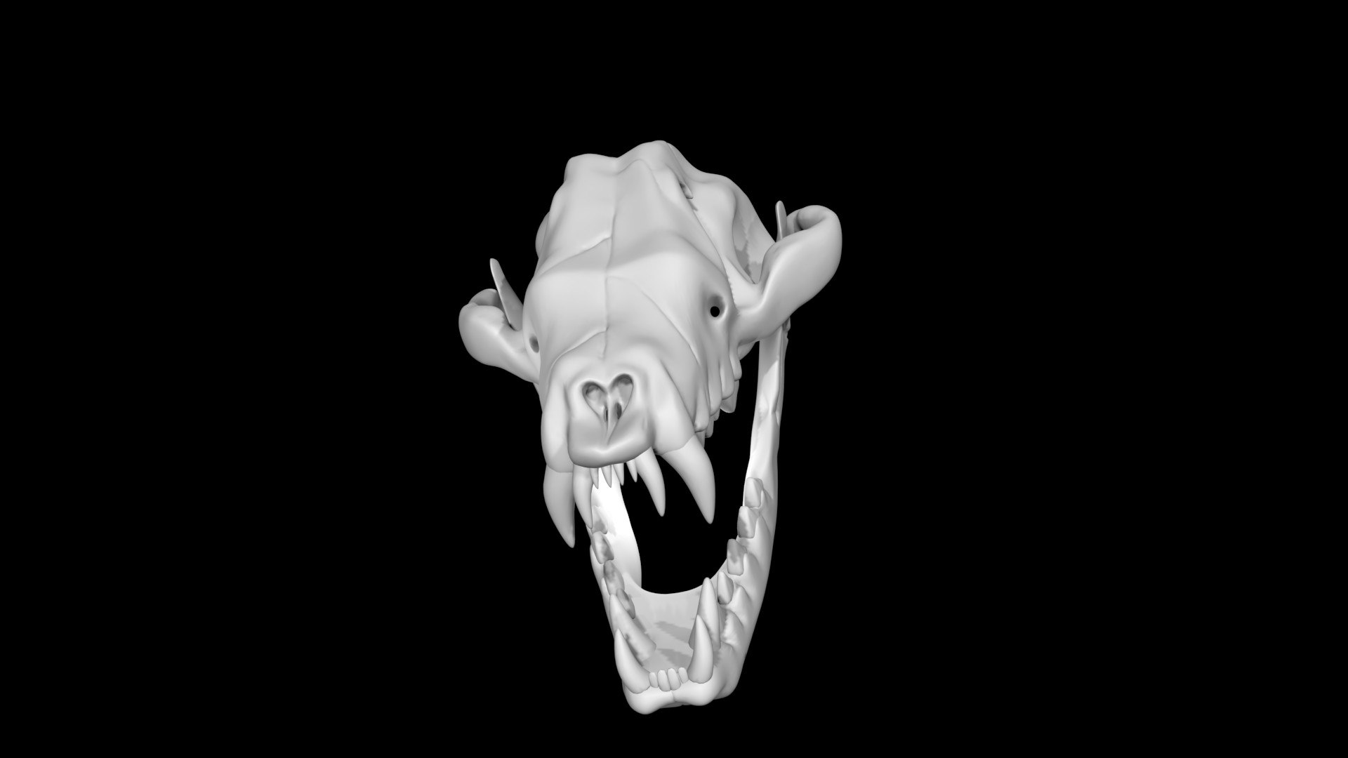 3D Rigged Fox Skull - TurboSquid 1885060